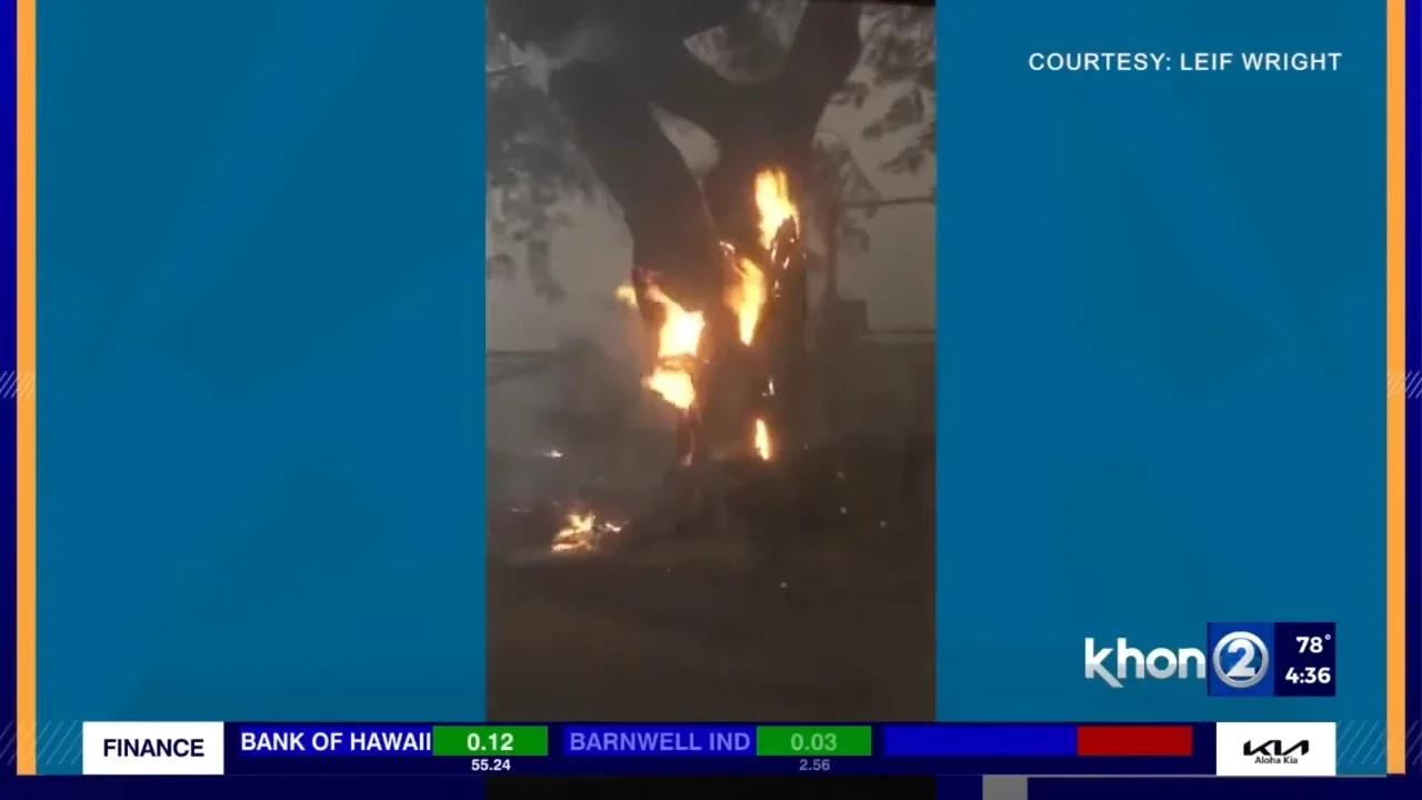 Maui, Hawaii: Direct Energy Weapon Attack (3/3)