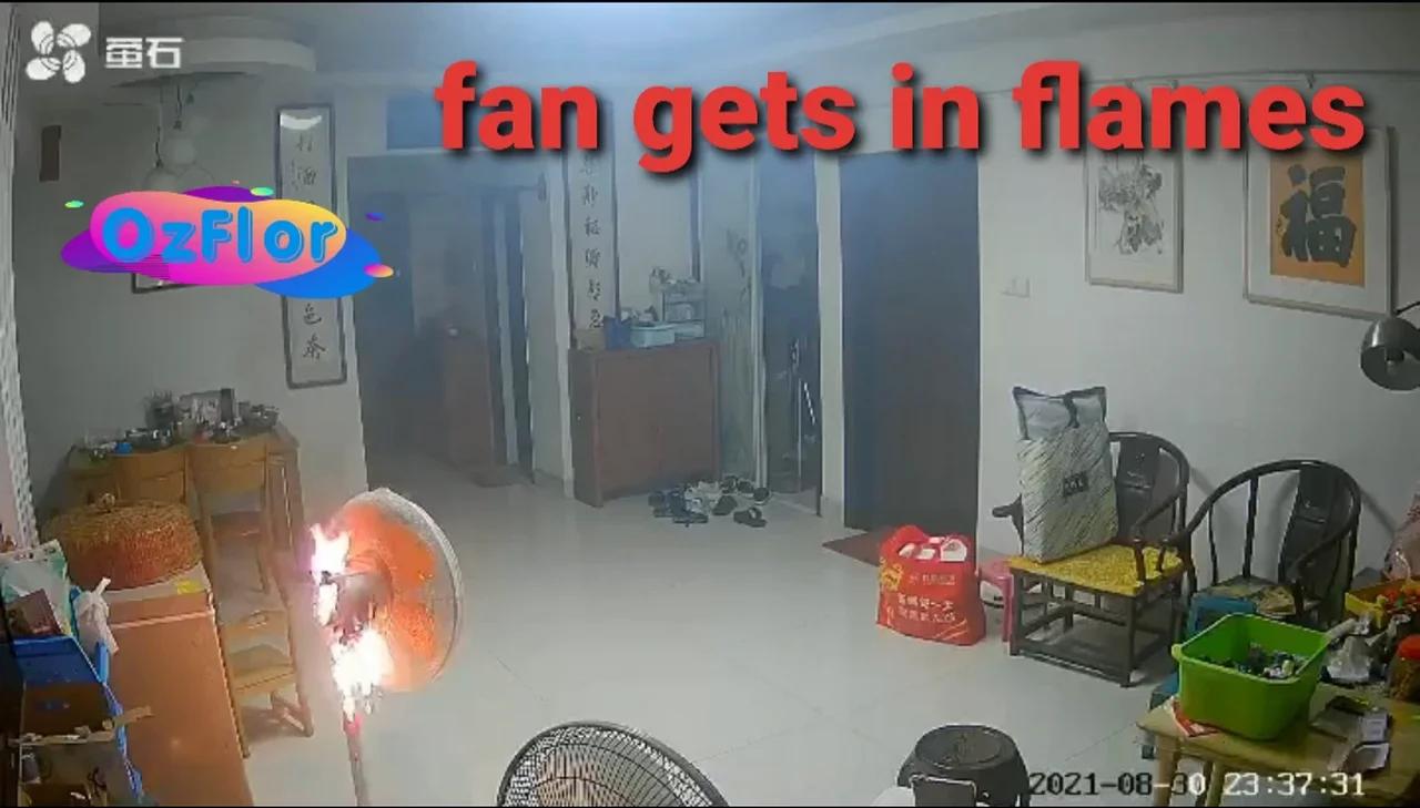 Fan flames out