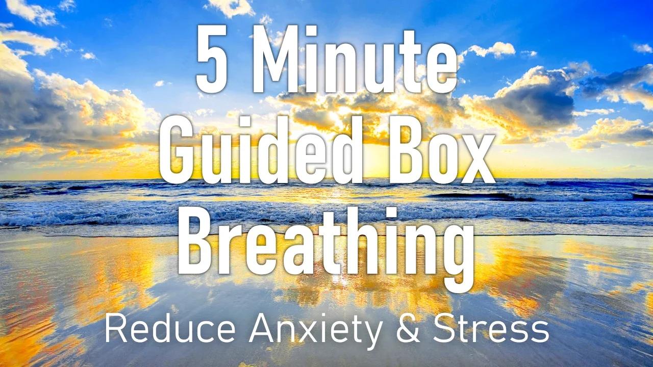 Guided 5 Minute Box Breathing Pranayama Meditation
