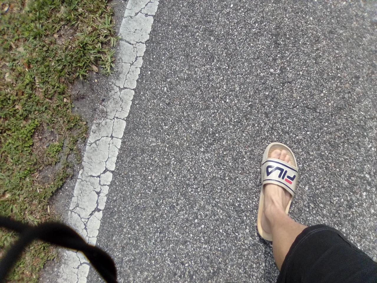 Jitsi and needs talk for NoRecs from your Publishing House Owner July 18 2023