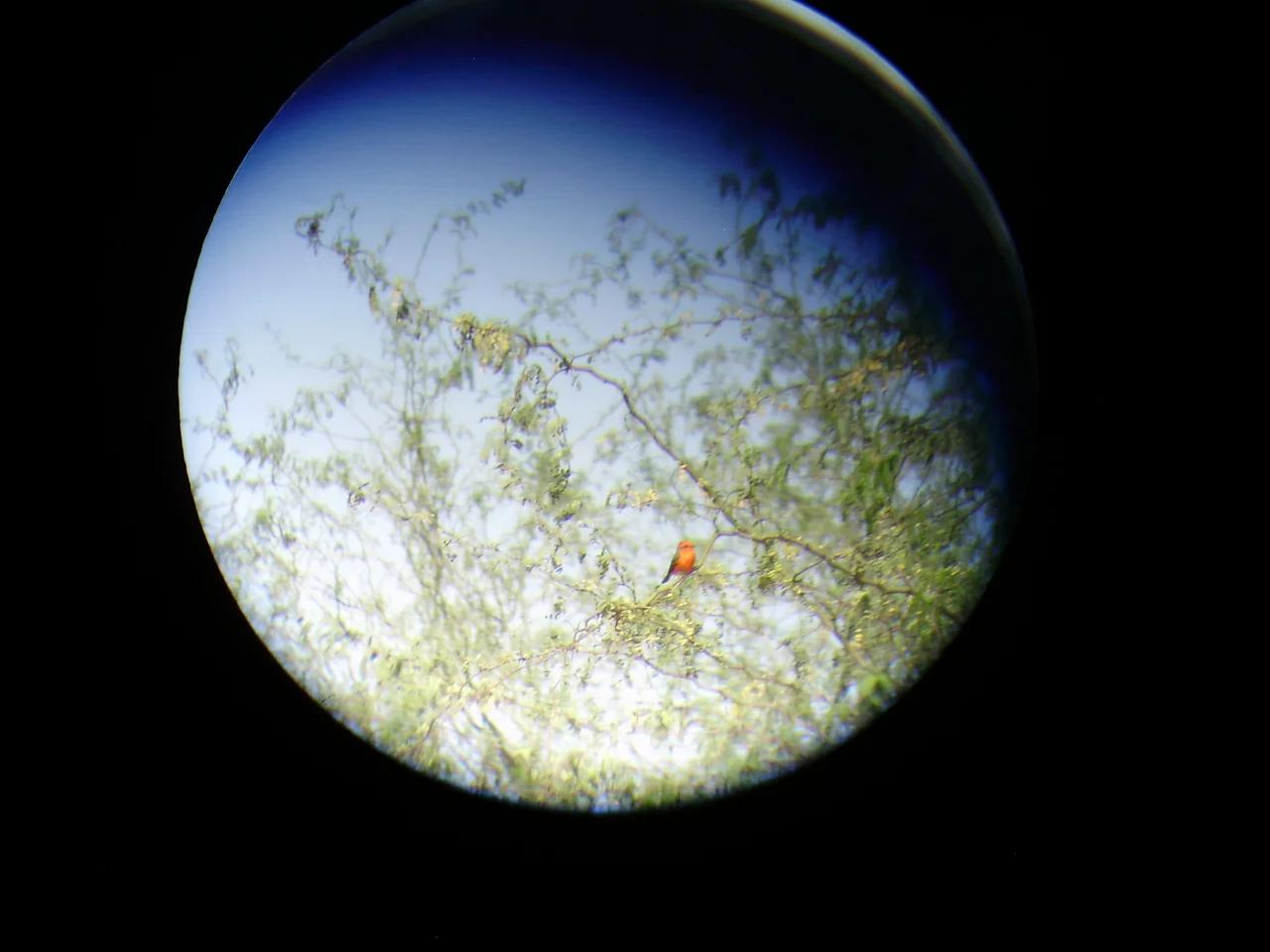 #15 Channeled Message to the J.ish People. What to do now in G.za; what ...