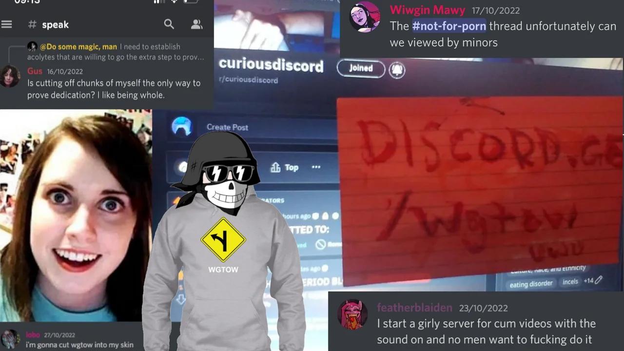 Curious WGTOW Discord Server