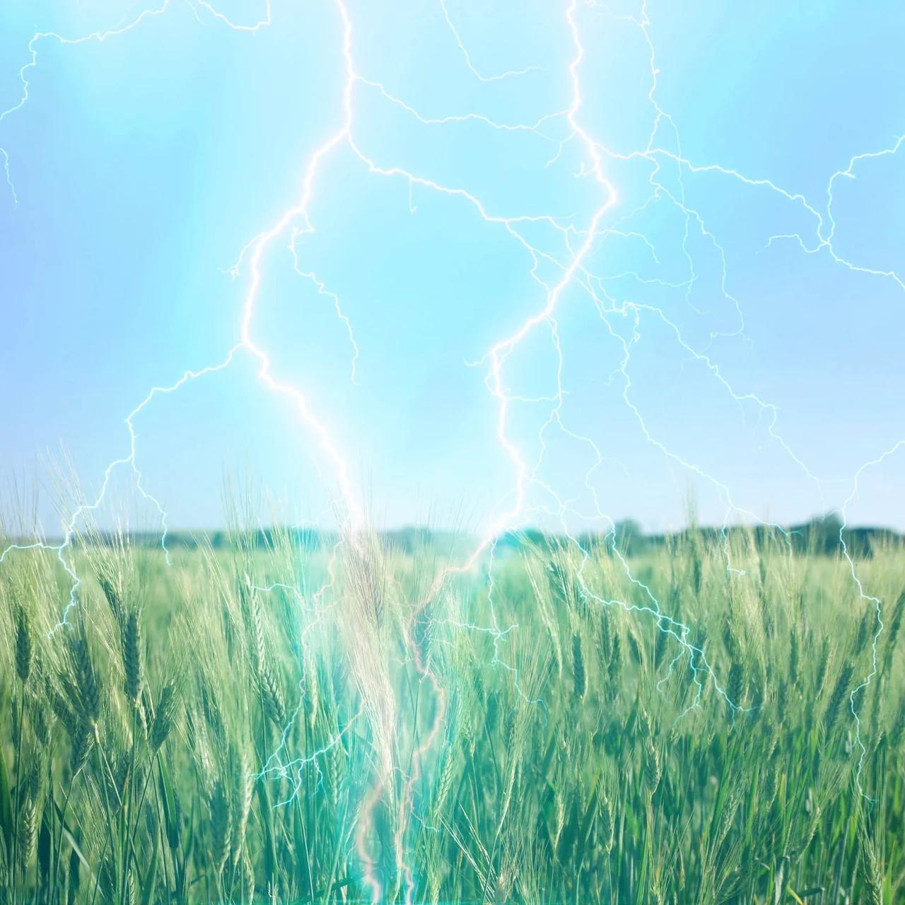 Electroculture 101 & The Power To Cultivate Our Own w/ Matt Roeske