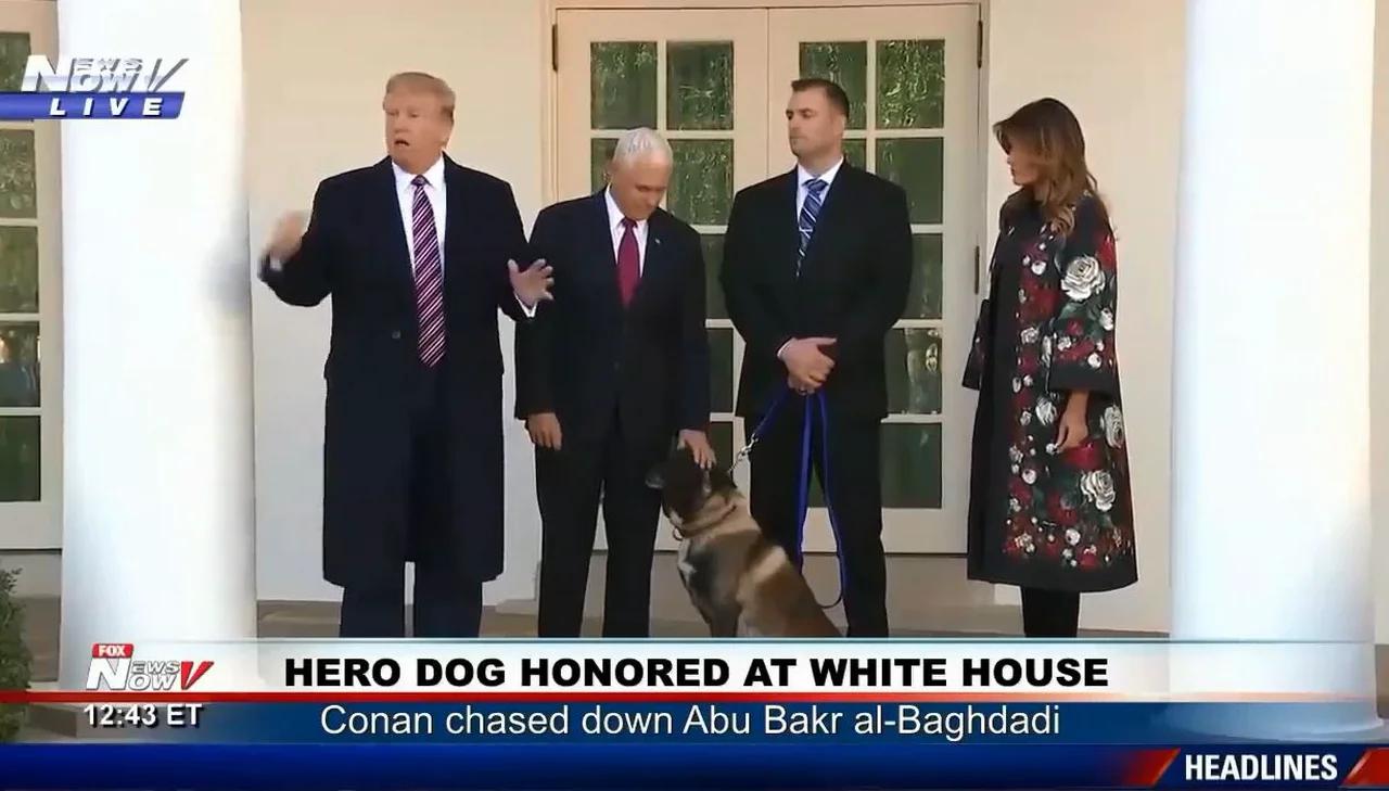 5yrs ago Isis Killer HERO DOG! President Trump Honors Conan Dog Given ...