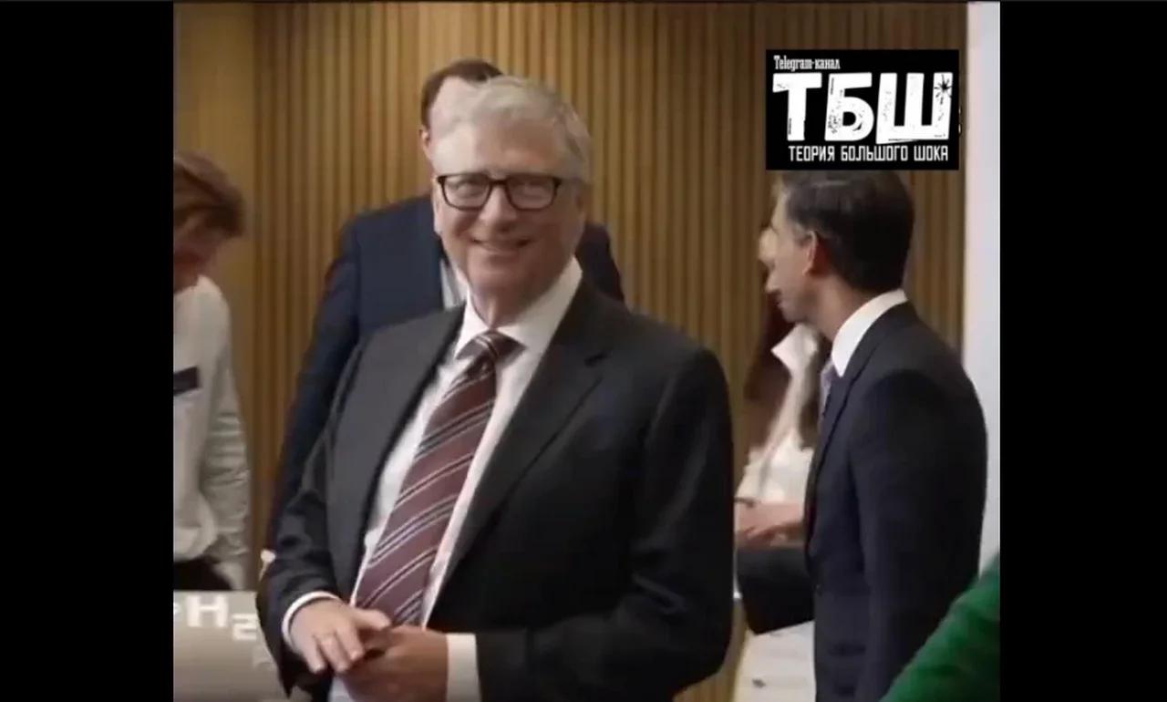 Bill Gates to Chop Down Millions of Acres of Trees