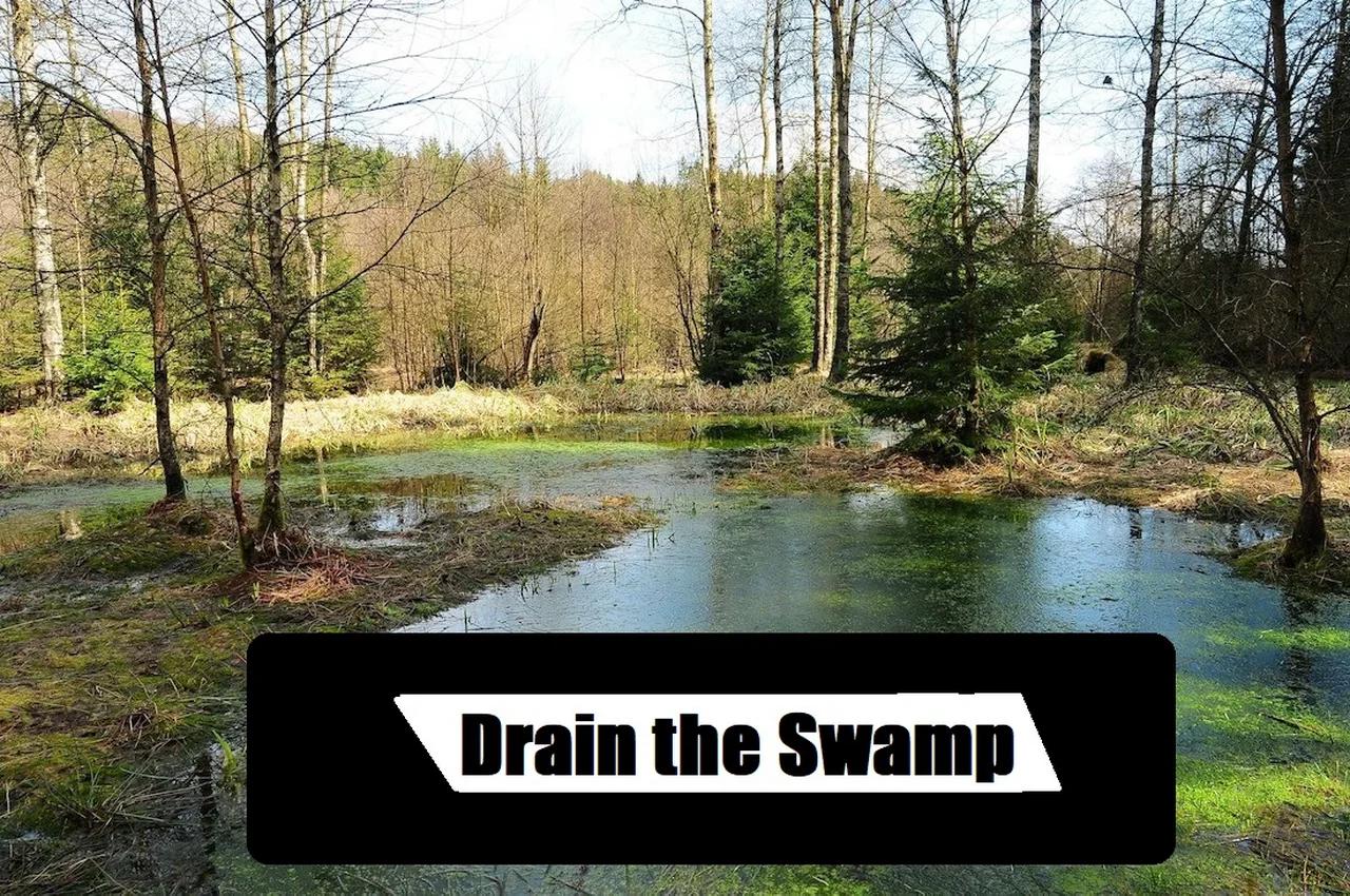 Drain the swamp