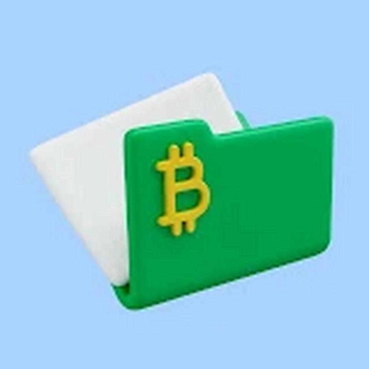 Bitcoin Flash Software