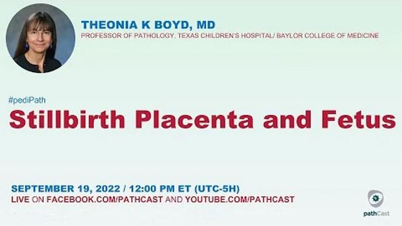 Stillbirth Placenta and Fetus