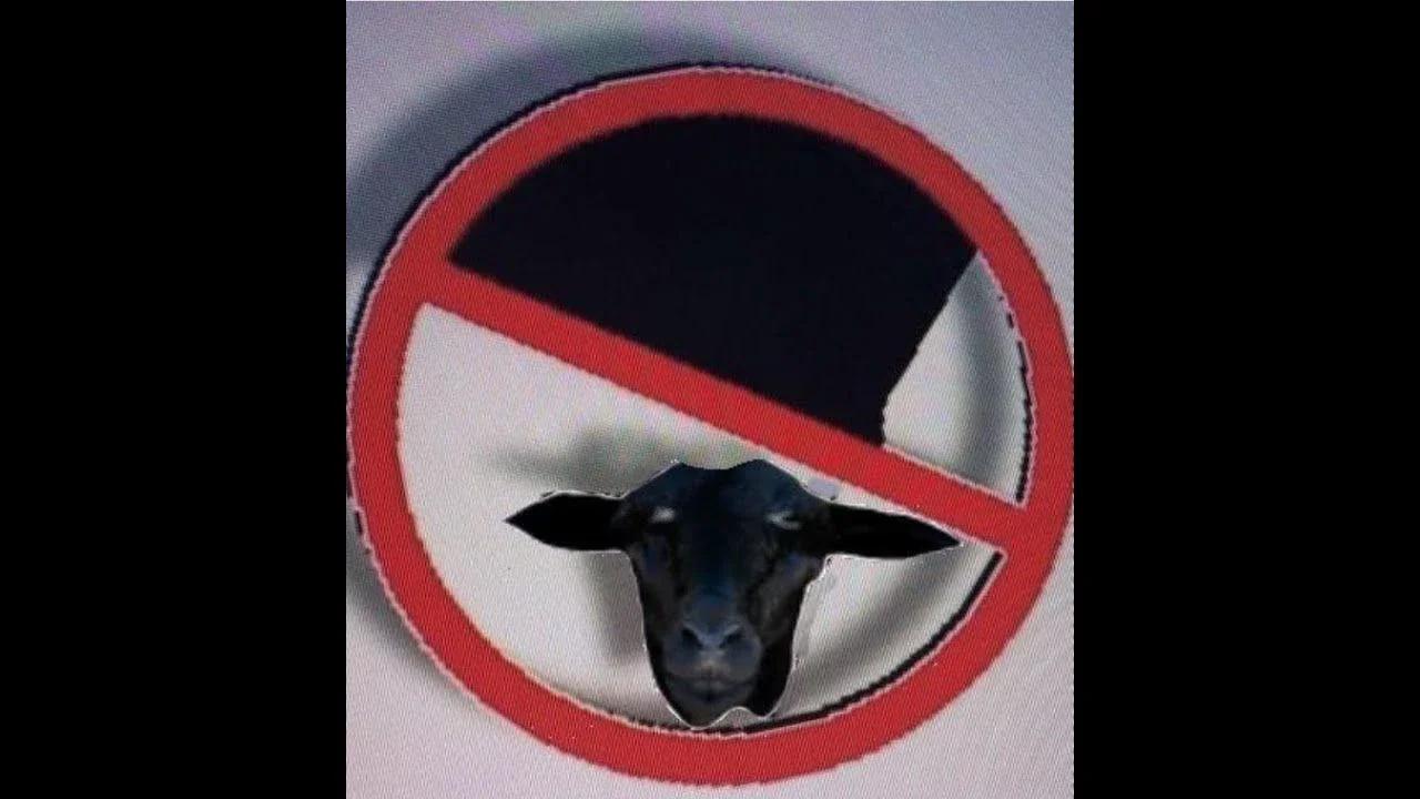 FINALLY GETTING It OUT!! This Is The Introduction to the PROJECT Part 2 ...