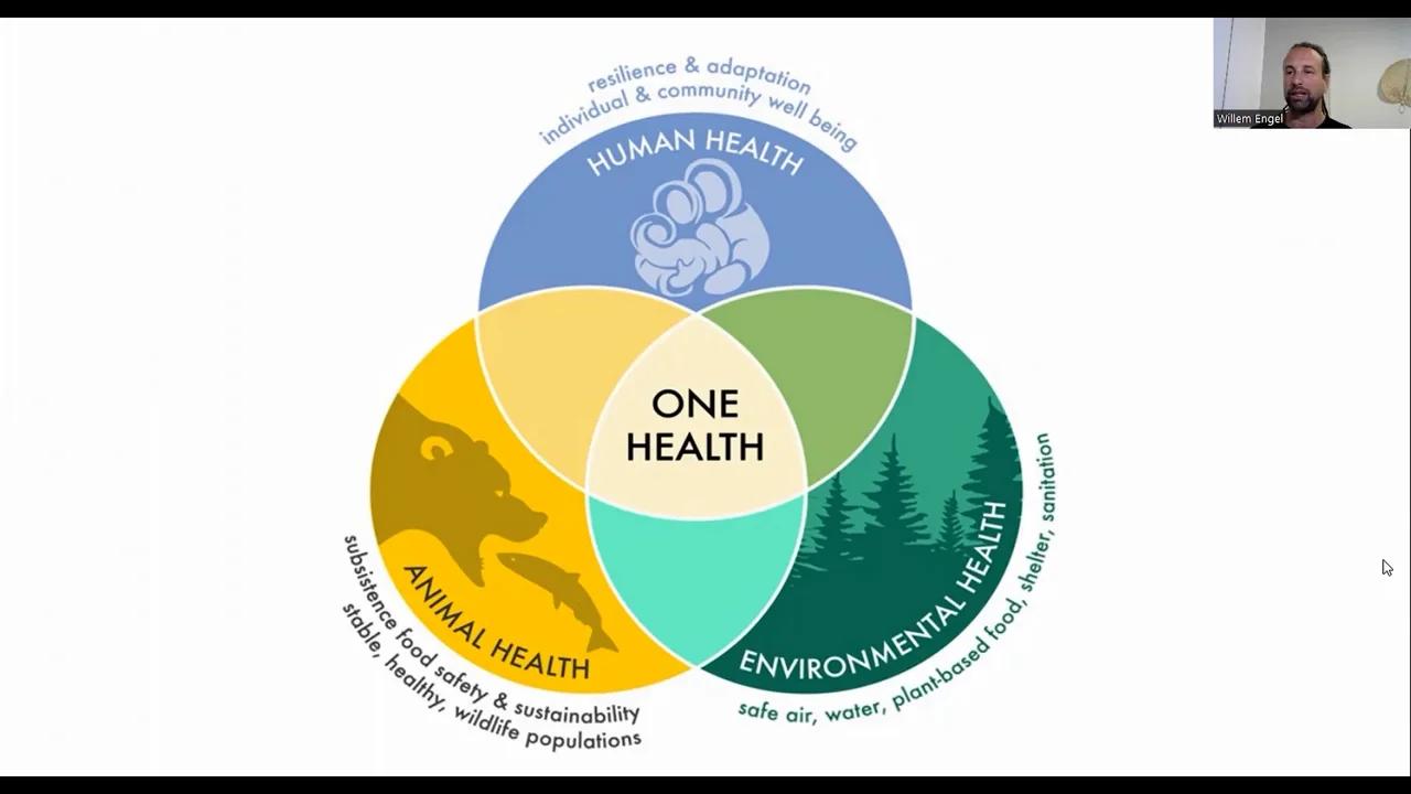 One World-One health-De bijzondere rol van Nederland-Deel 2
