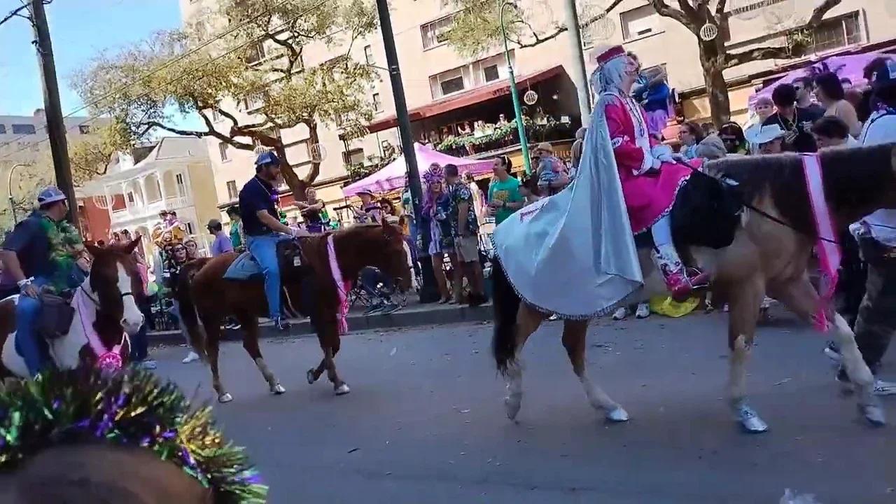 Iris Parade 2025 (March 1 2025) incomplete