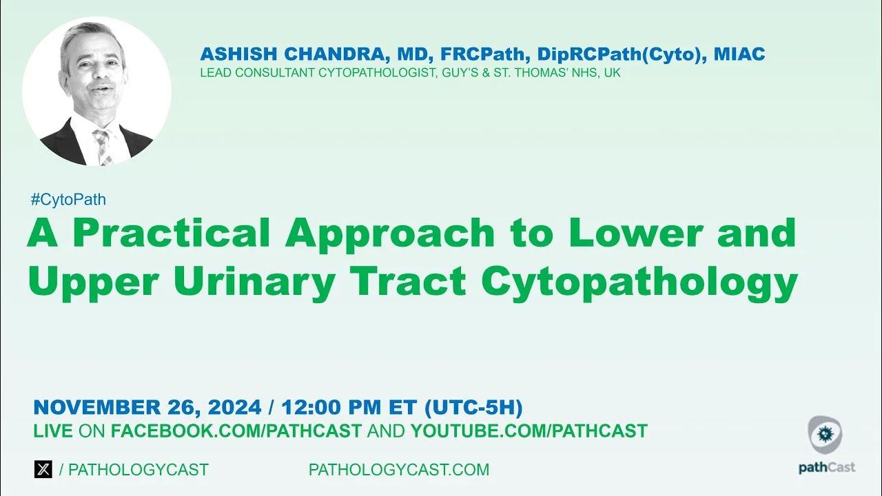 A Practical Approach to Lower and Upper Urinary Tract Cytopathology