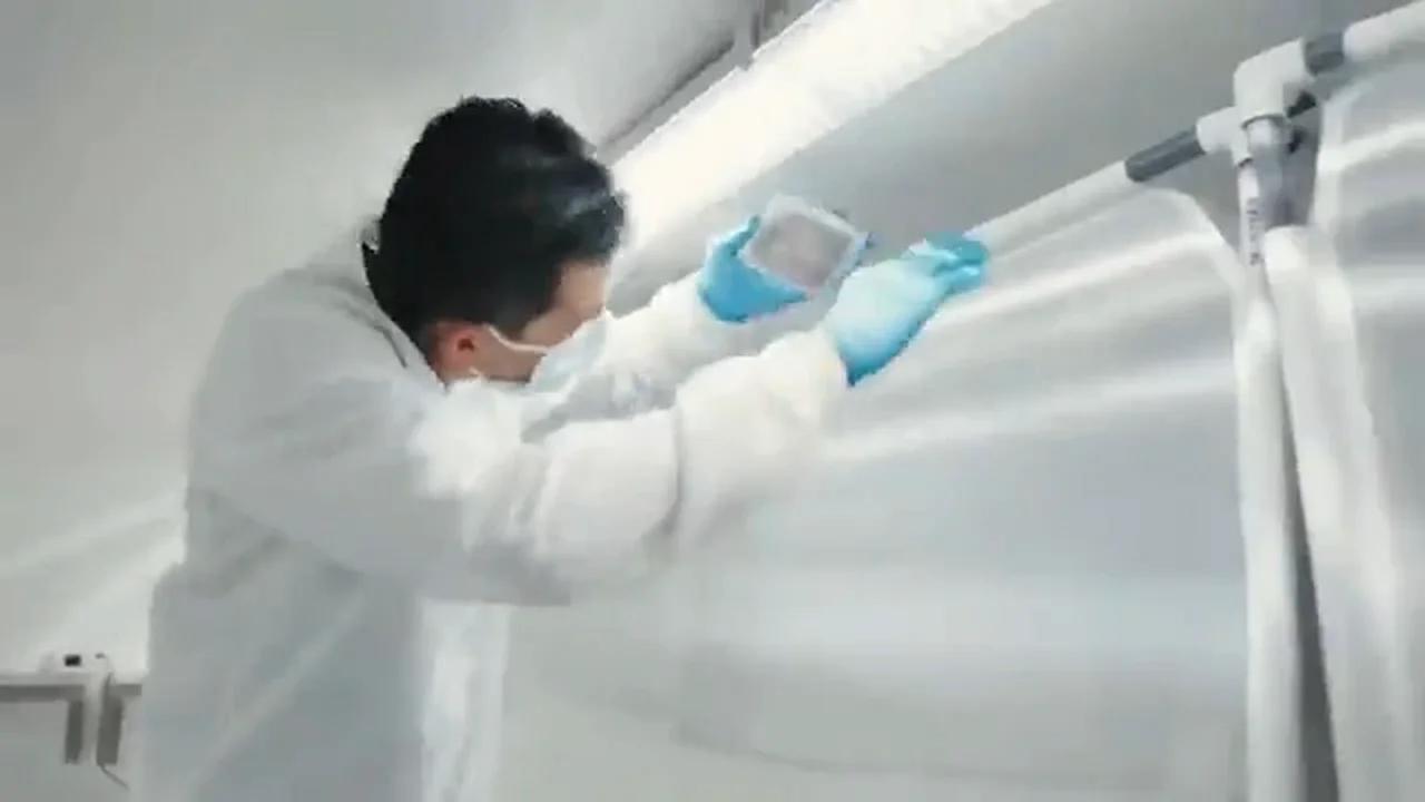 Mosquito Farm and The Bill Gates Foundation