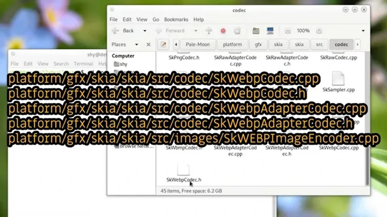 [Advanced Security] Compile your own web browser