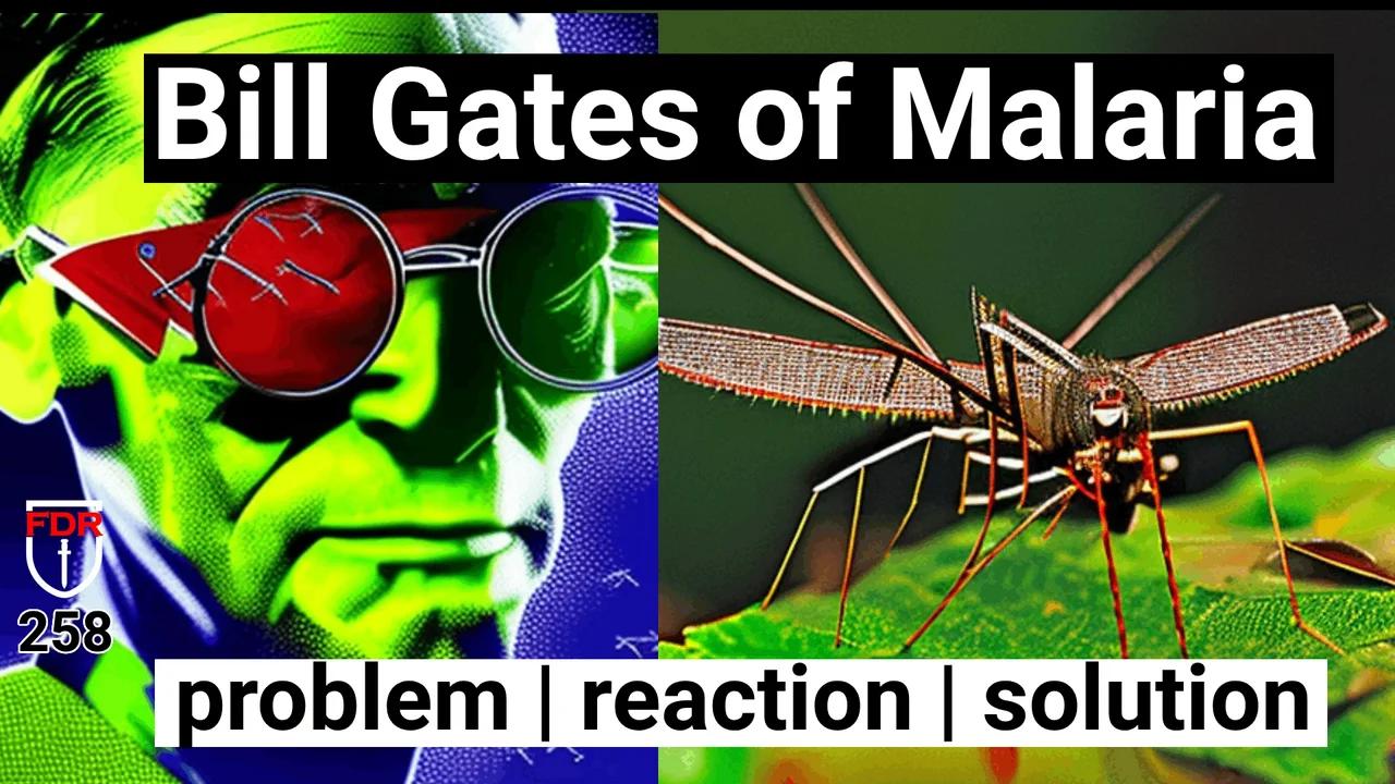 Bill Gates GMO Mosquitoes = Is this the New Plandemic?
