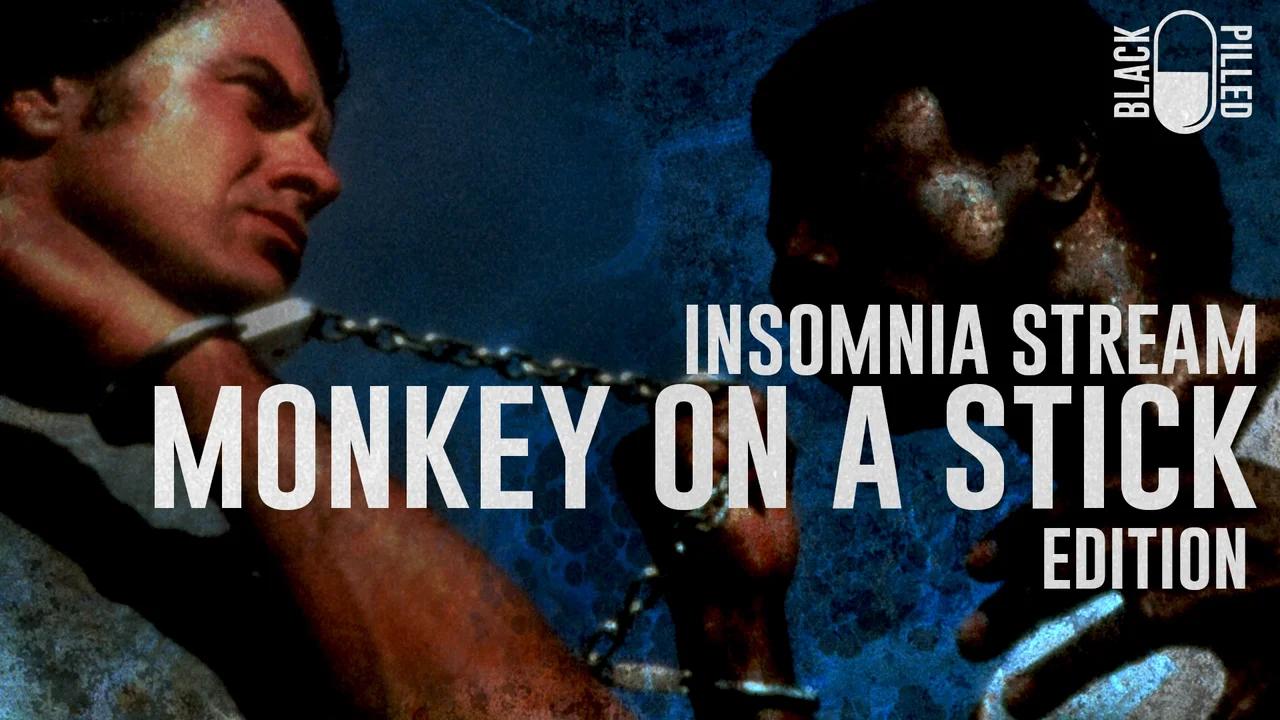INSOMNIA STREAM: MONKEY ON A STICK EDITION