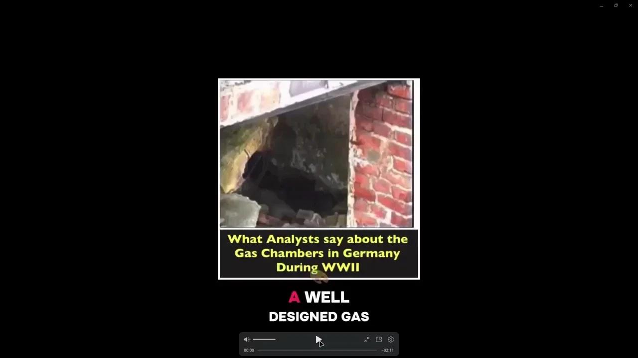 What Analysts Say About The Gas Chambers In Germany During WWll
