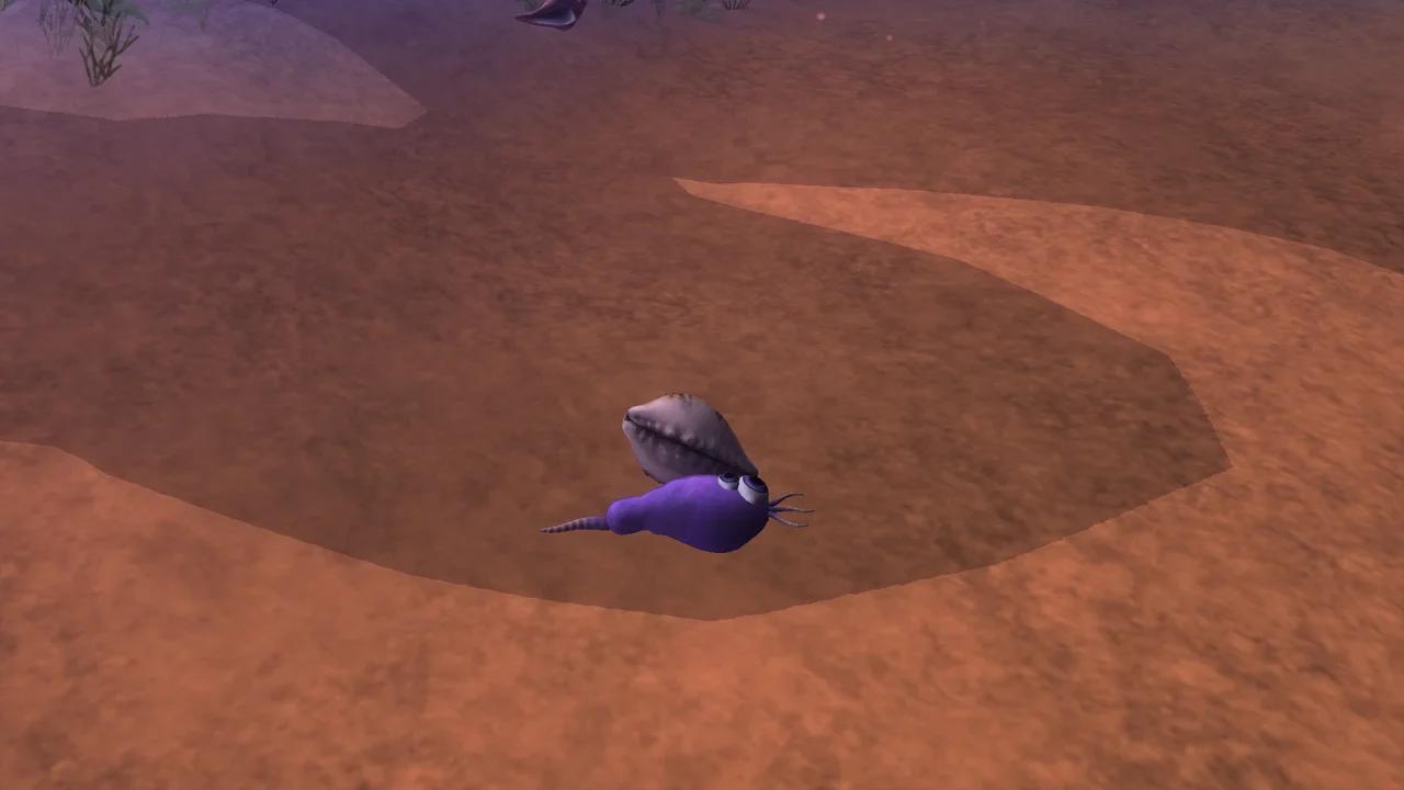 Shell Size Comparison 4