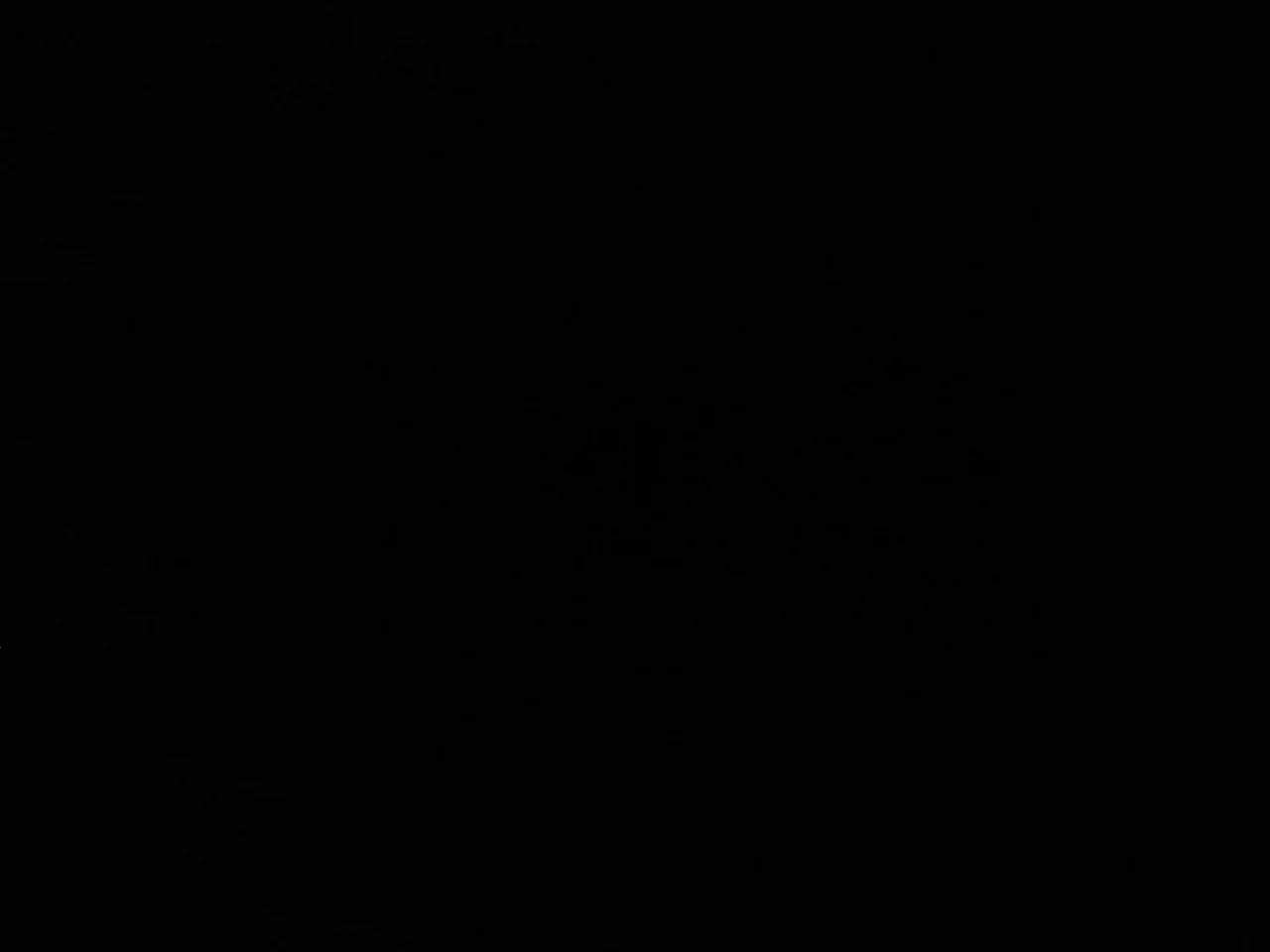 다람이 230915 (1)