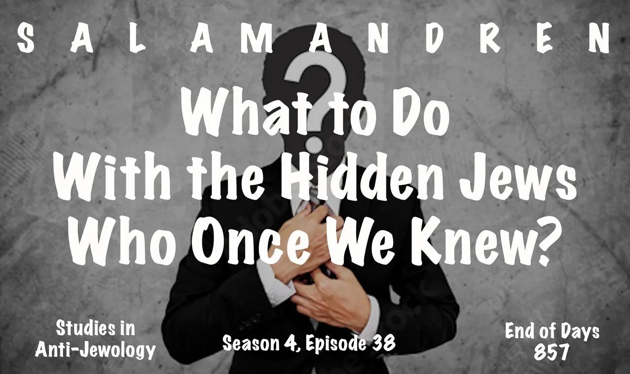 What to Do With the Hidden Jews Who Once We Knew? (Studies in Anti ...