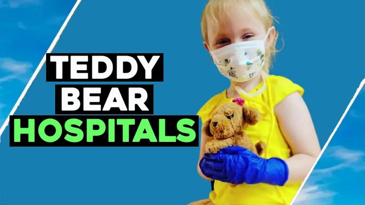 TEDDY BEAR HOSPITALS Hugo Talks