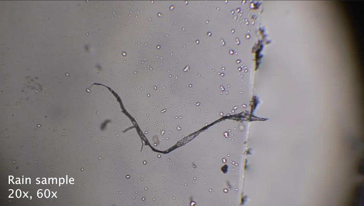 2023-03-20 Rain sample