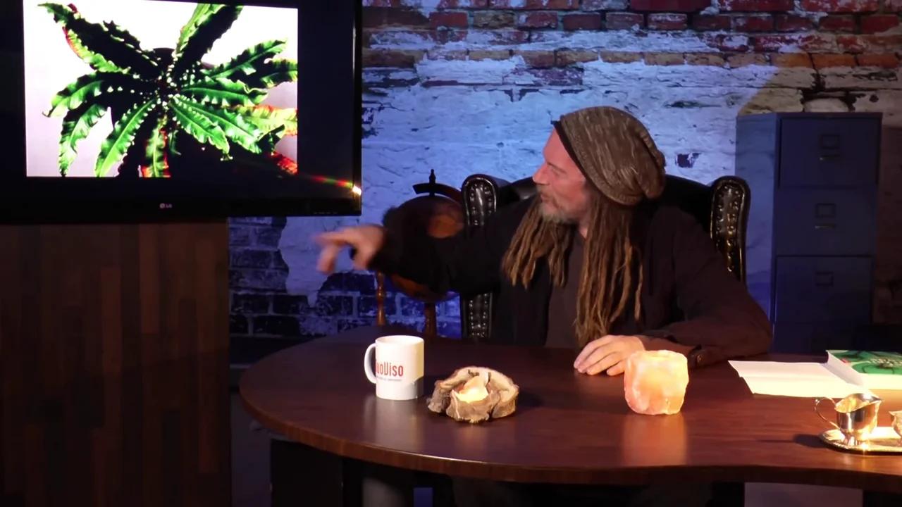 Frank Stoner - Der Urzeit Code (re-up)