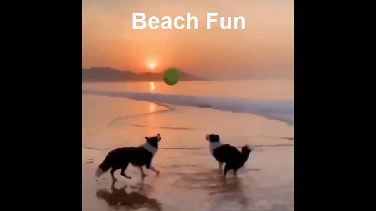 Beach Fun