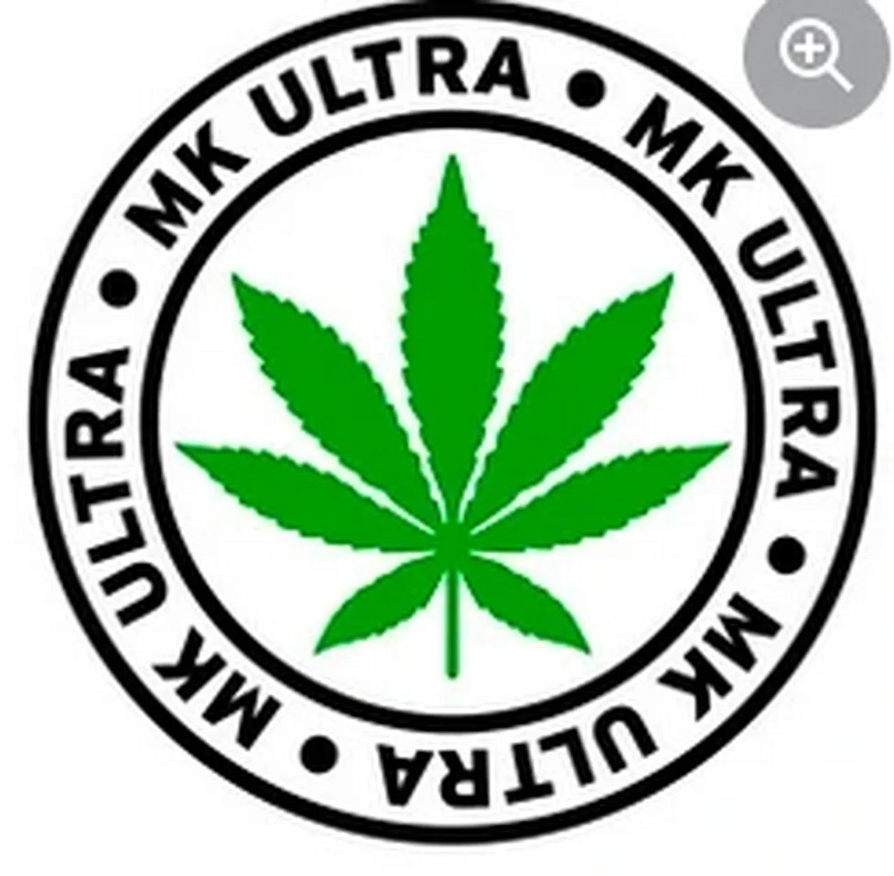 Liens entre "famille manson" et MK Ultra