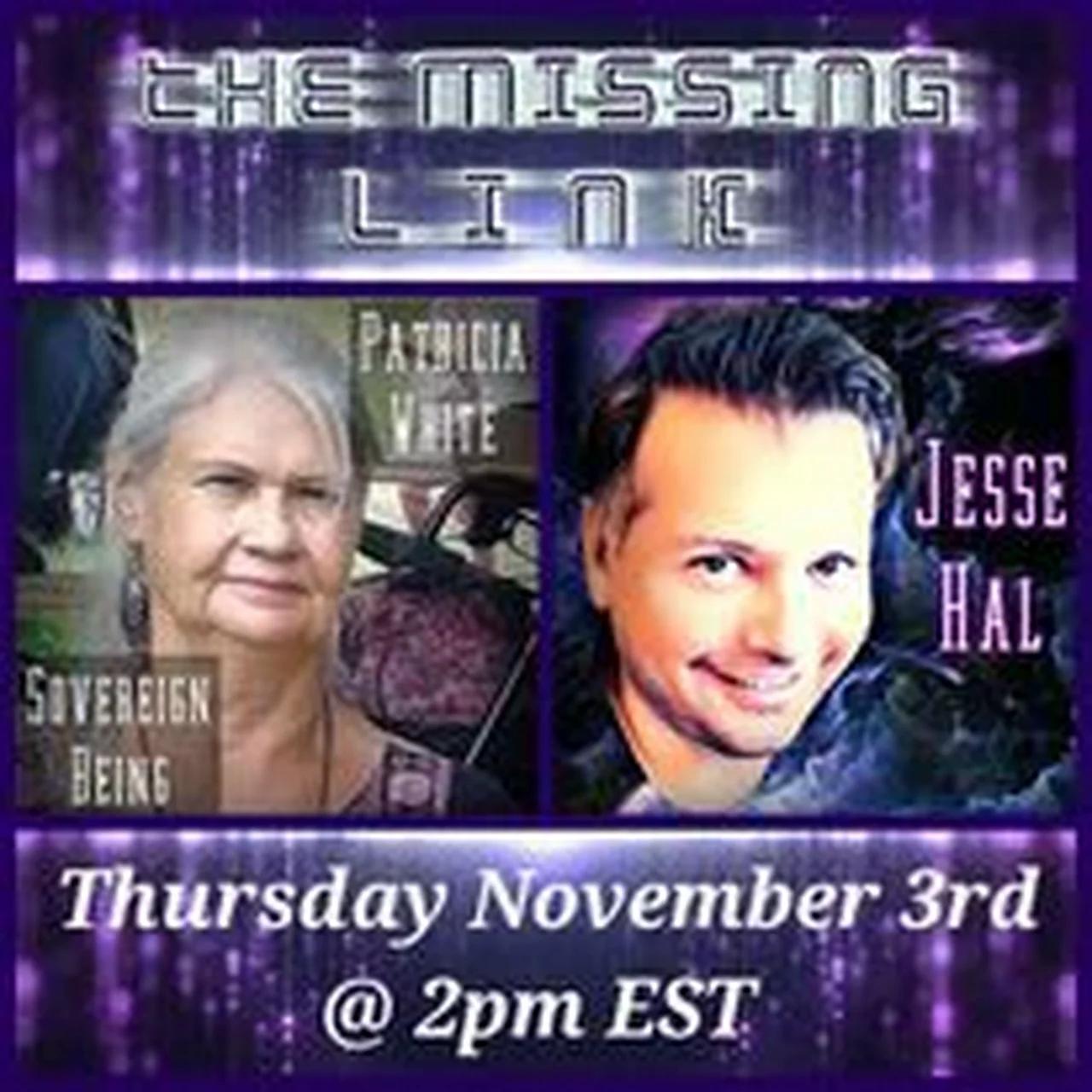 Interview 338 with Patricia White Sovereign Being