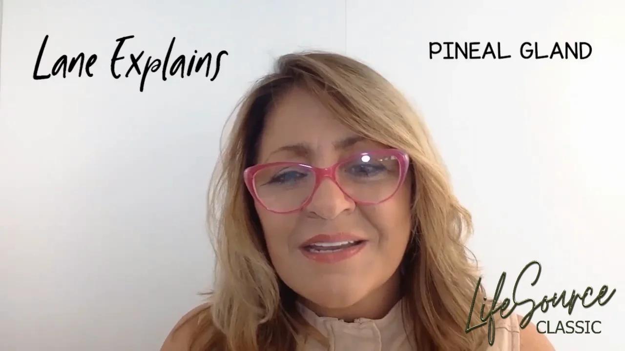 The Pineal Gland, Calcification, Spiritual Significance (Part-1) The Pineal Gland, Calcification, Spiritual Significance (Part-1)