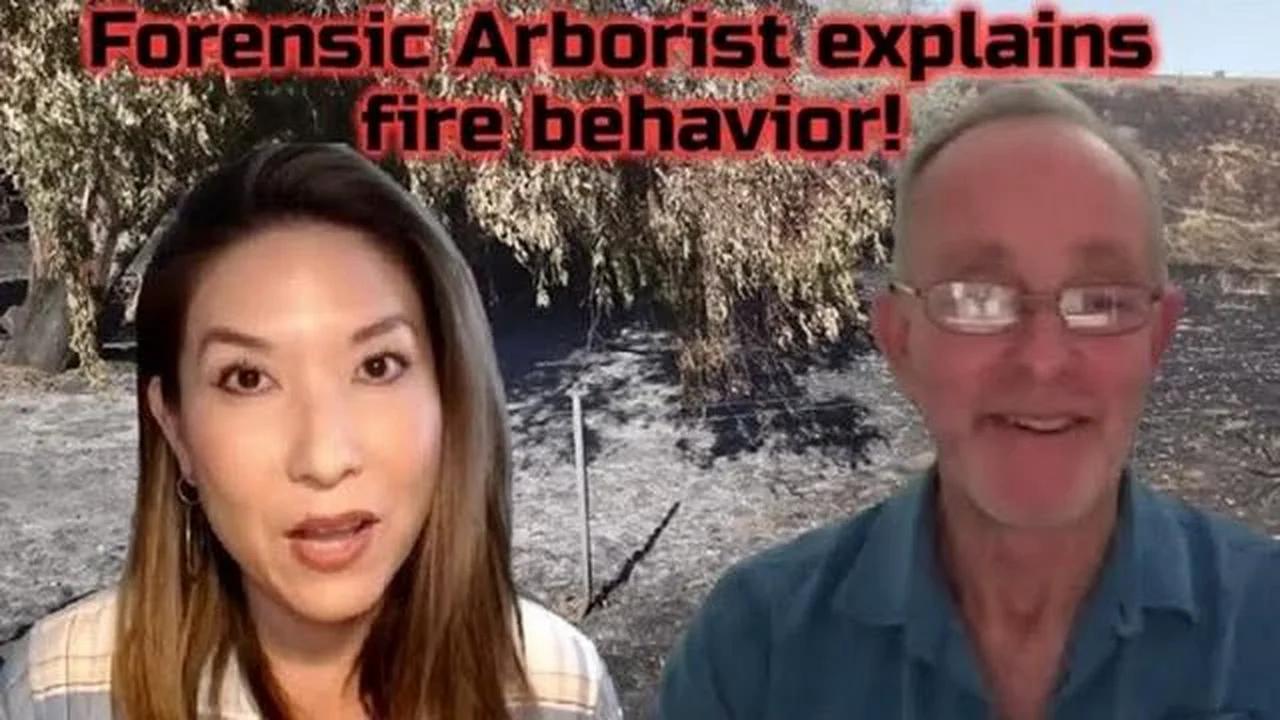 Forensic Arborist Explains Fire Behavior Traci Derwin Interviews Robert ...