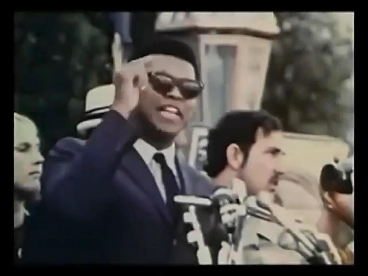 Race Mixing is Against Nature and Creation