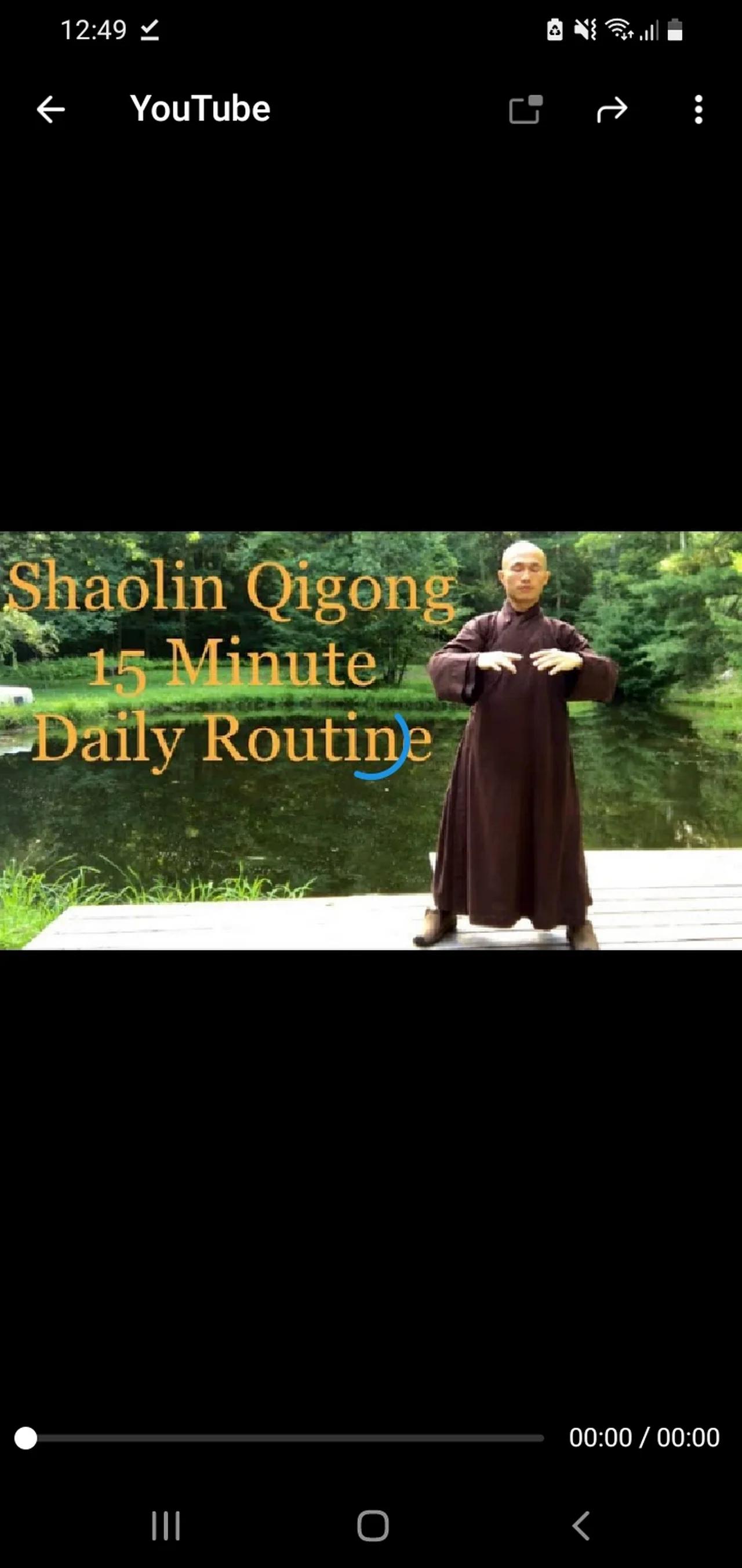 Shaolin Qigong Routine quotidienne de 15 minutes🤔🤔🤔