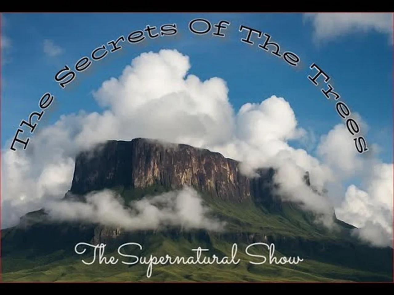 🟠(Ep 1) The Truth about The Secrets of the Trees (LogicBeforeAuthority ...