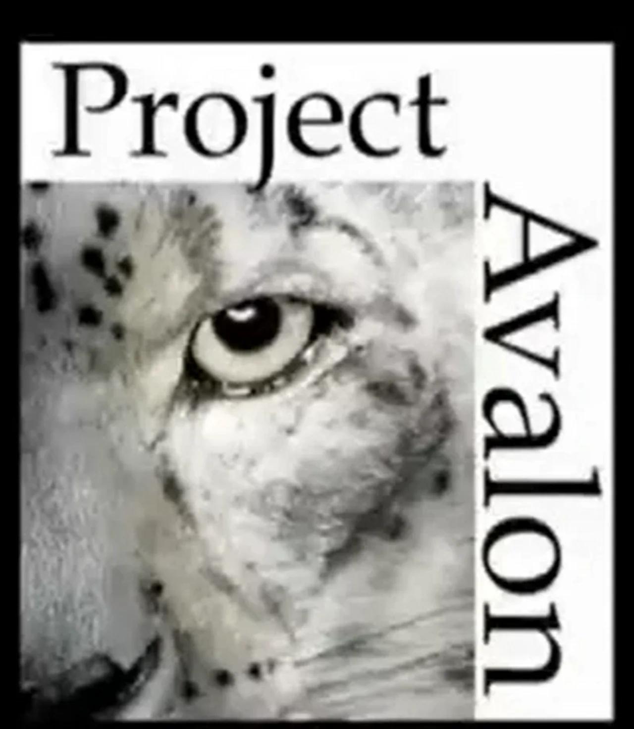 The Anglo Saxon Mission Bill Ryan Project Camelot Avalon English ...