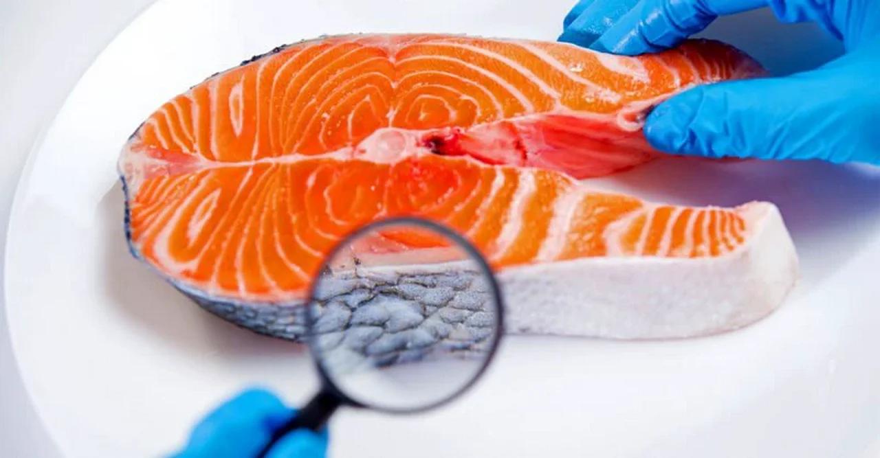 Increasing Popularity Of GMO Meats