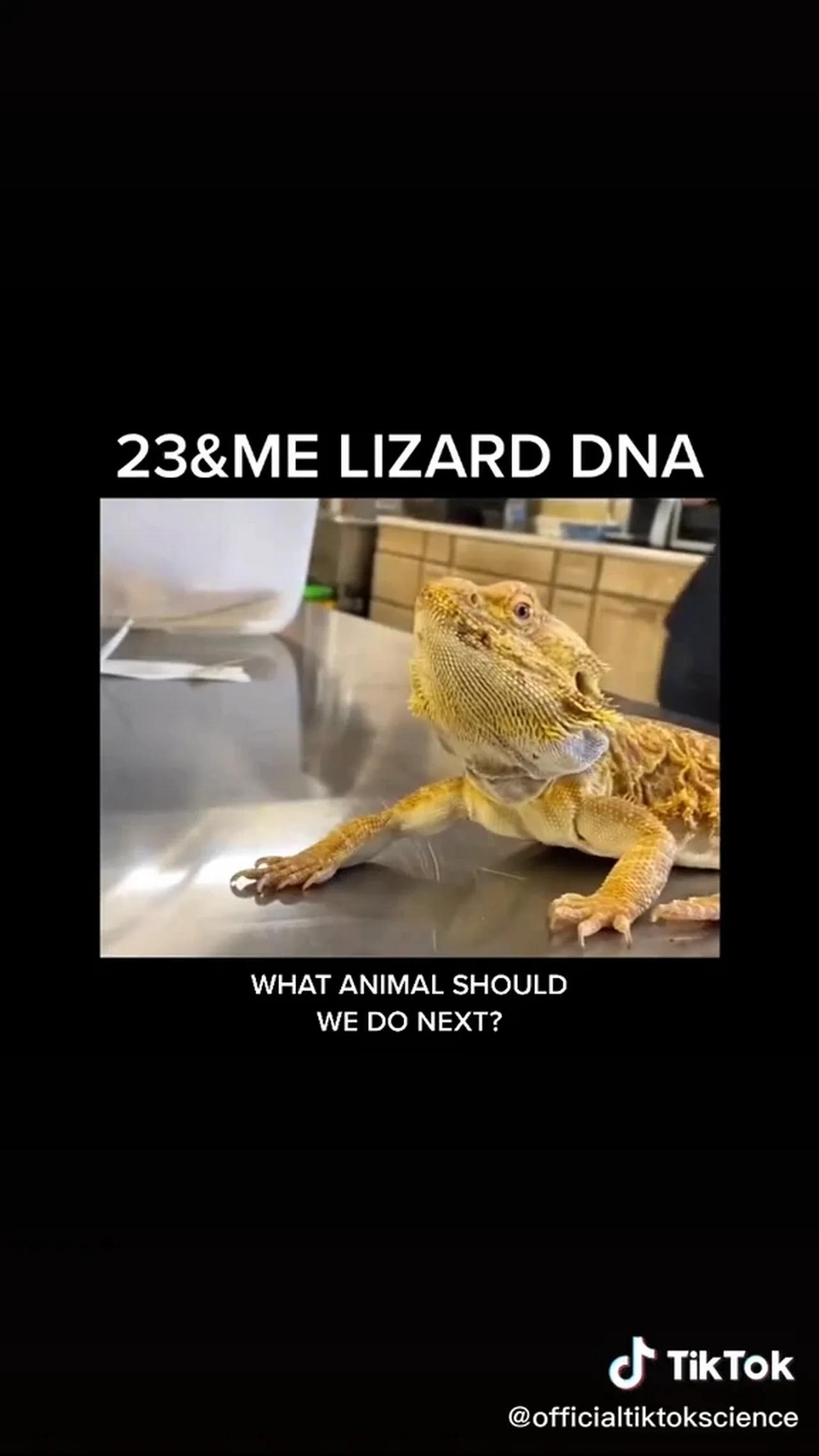 23&Me Lizard Ancestry DNA Test