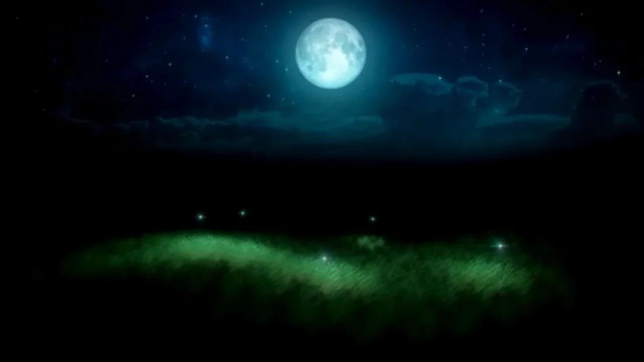 #757 WITTS LiveStream - Visions of Heaven - March 5, 2025