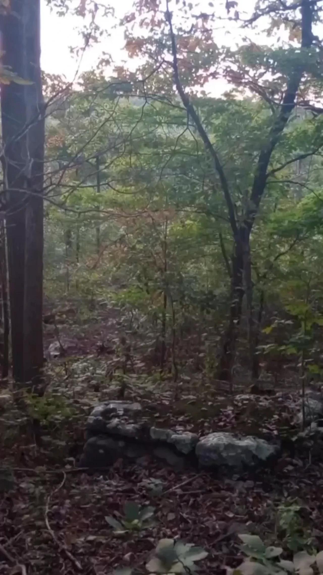 Shieldwall Network coordinator Billy Roper talks about trades needed in ...