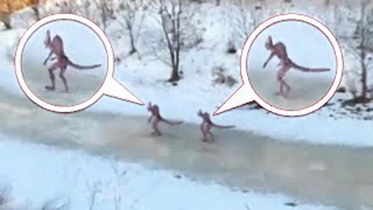 Extraterrestres type "abgal" (batraciens, hommes poissons mythes ...