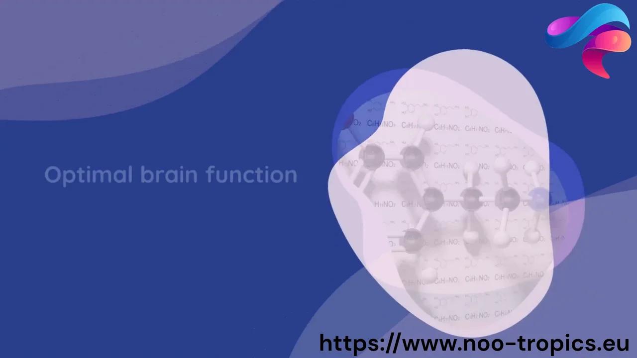 Optimizing Brain Health with Nootropic Foods