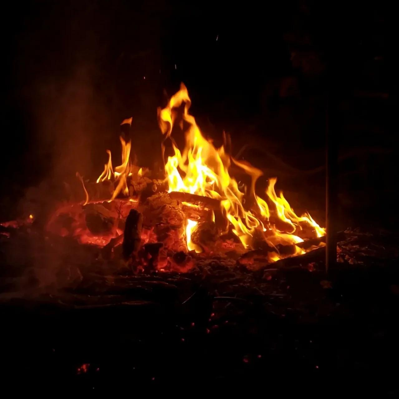 Daniel Metodiev Off Grid 🕊