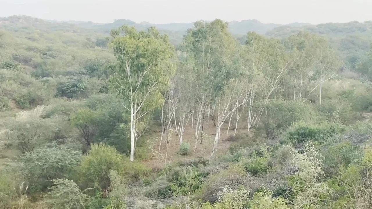 Photo Hike to The Pabbi National Park - Tehsil Kharian. Punjab November ...
