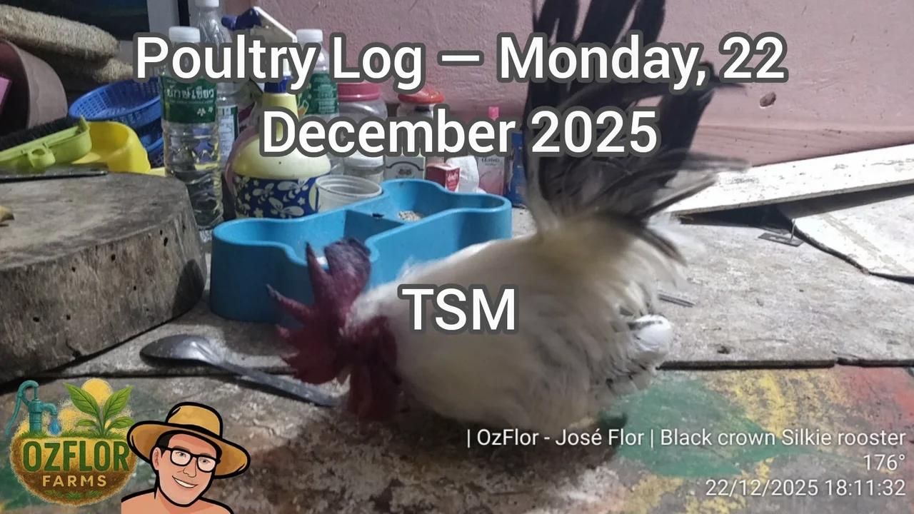 Poultry Log — Monday, 22 December 2025