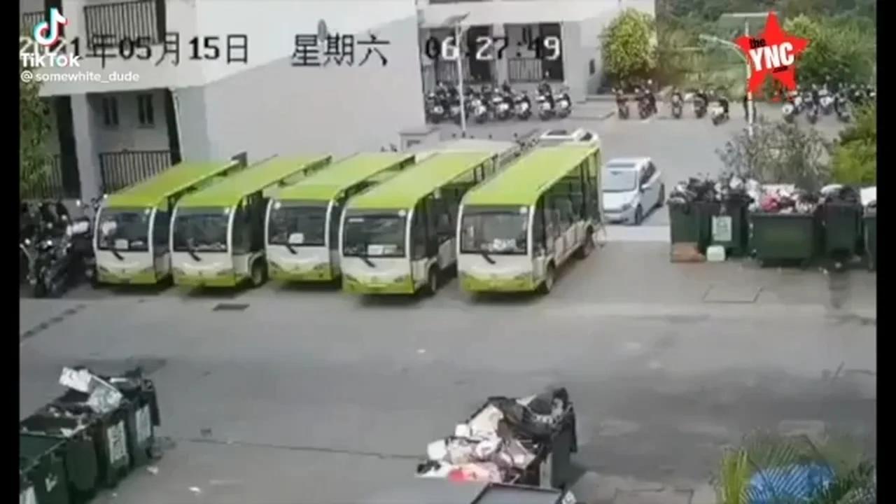 Are Teslas or Electric Cars 'Safe and Effective'?