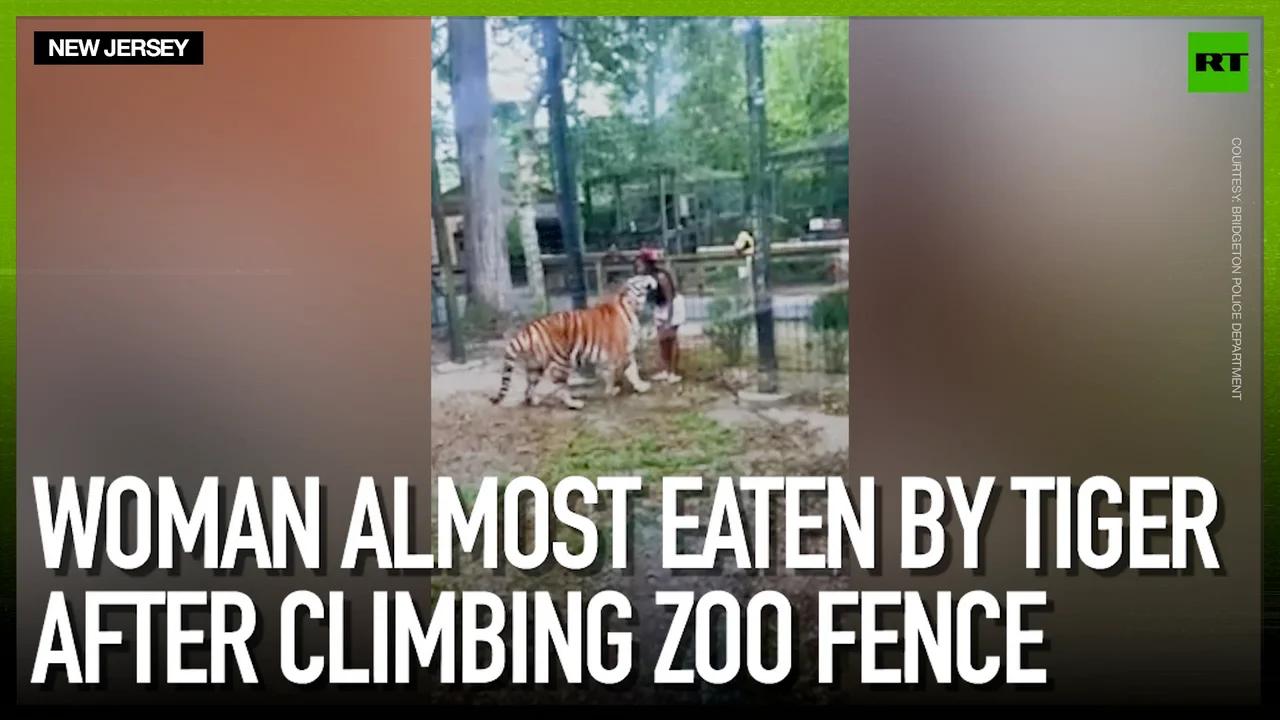 Woman almost eaten by tiger after climbing zoo fence