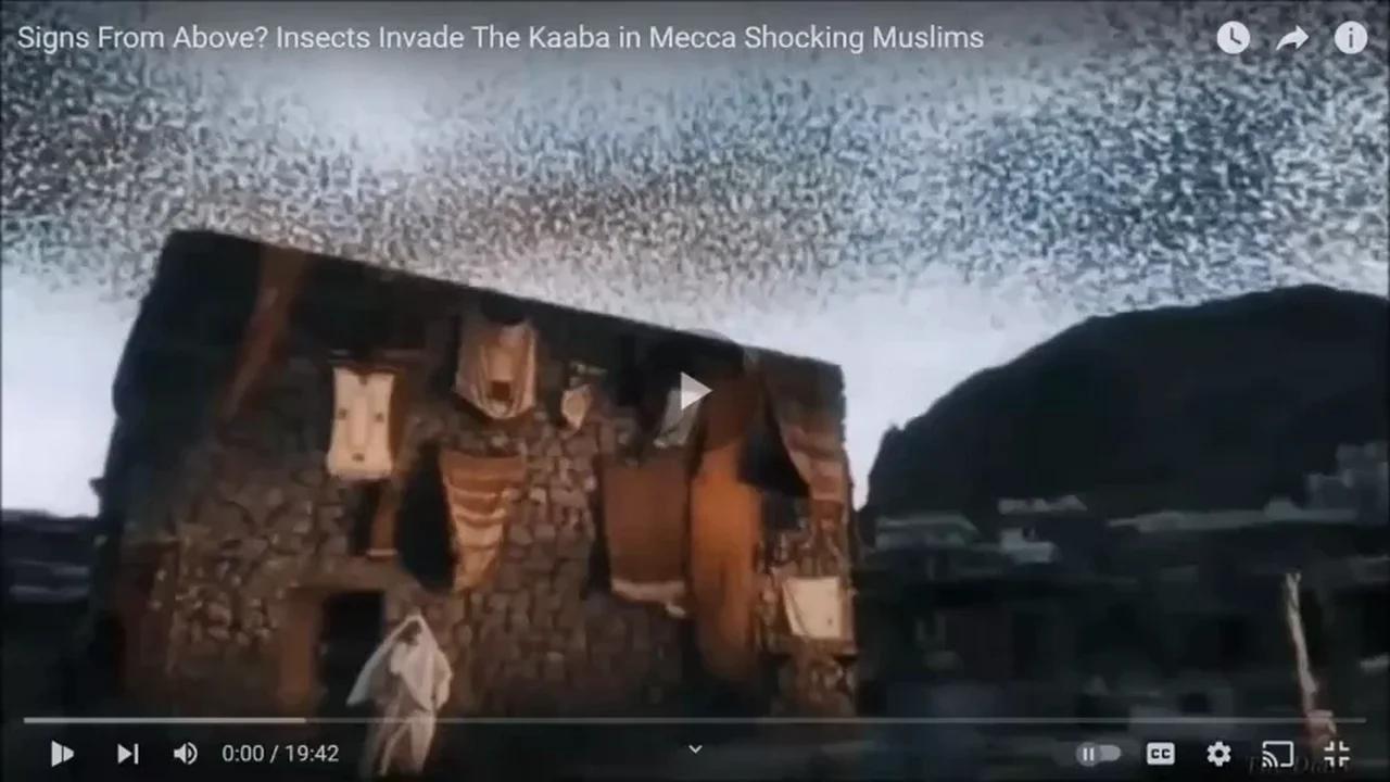 Signs From Above - Insects Invade The Kaaba in Mecca Shocking Muslims clip