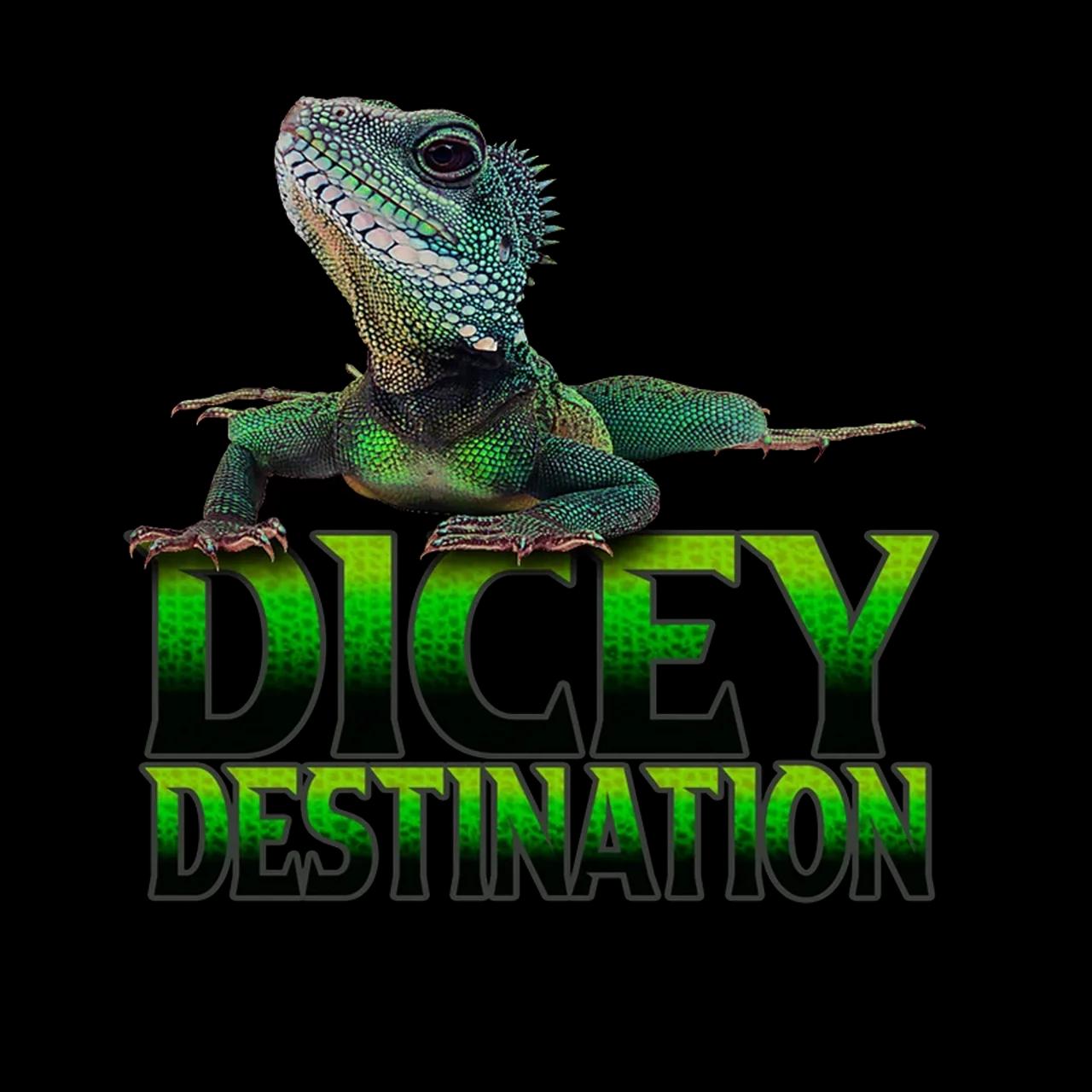 Dicey Destination