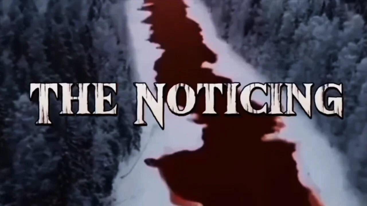 The Noticing: A timeline 2022-2024